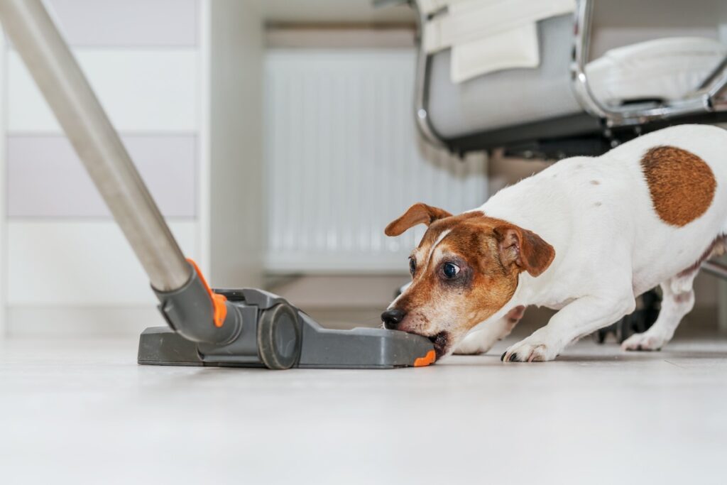 Why Are Some Vacuum Cleaners Louder Than Others?